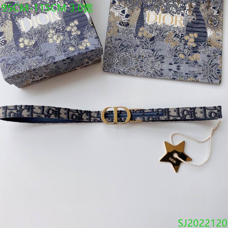 Dior Belt 30mmX95-110cm 7d0 (39)_449107-服饰丨向阳